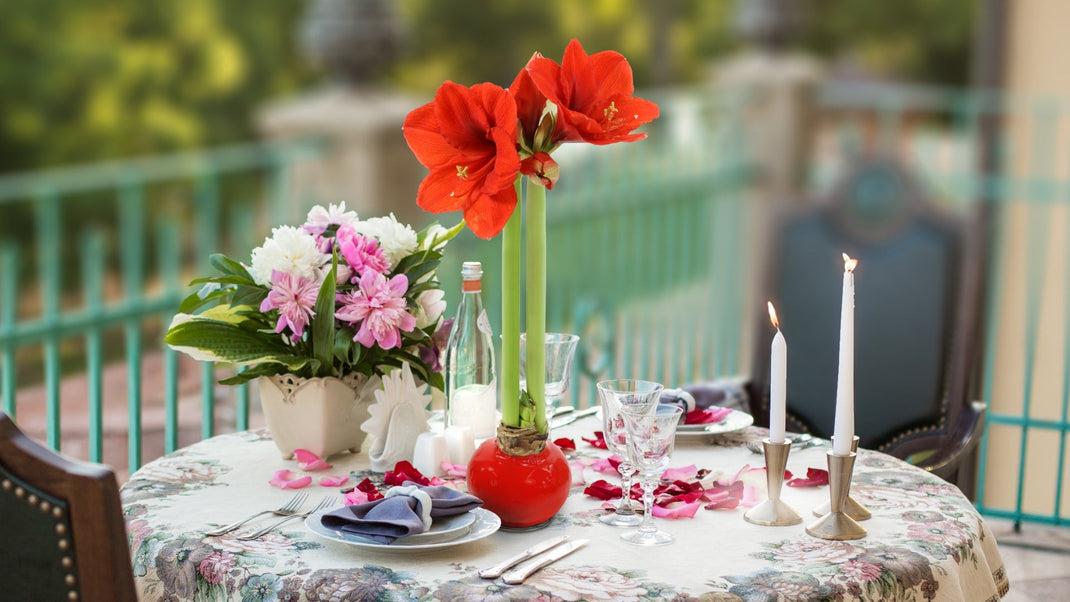 Valentine's Day – Cottage Farms